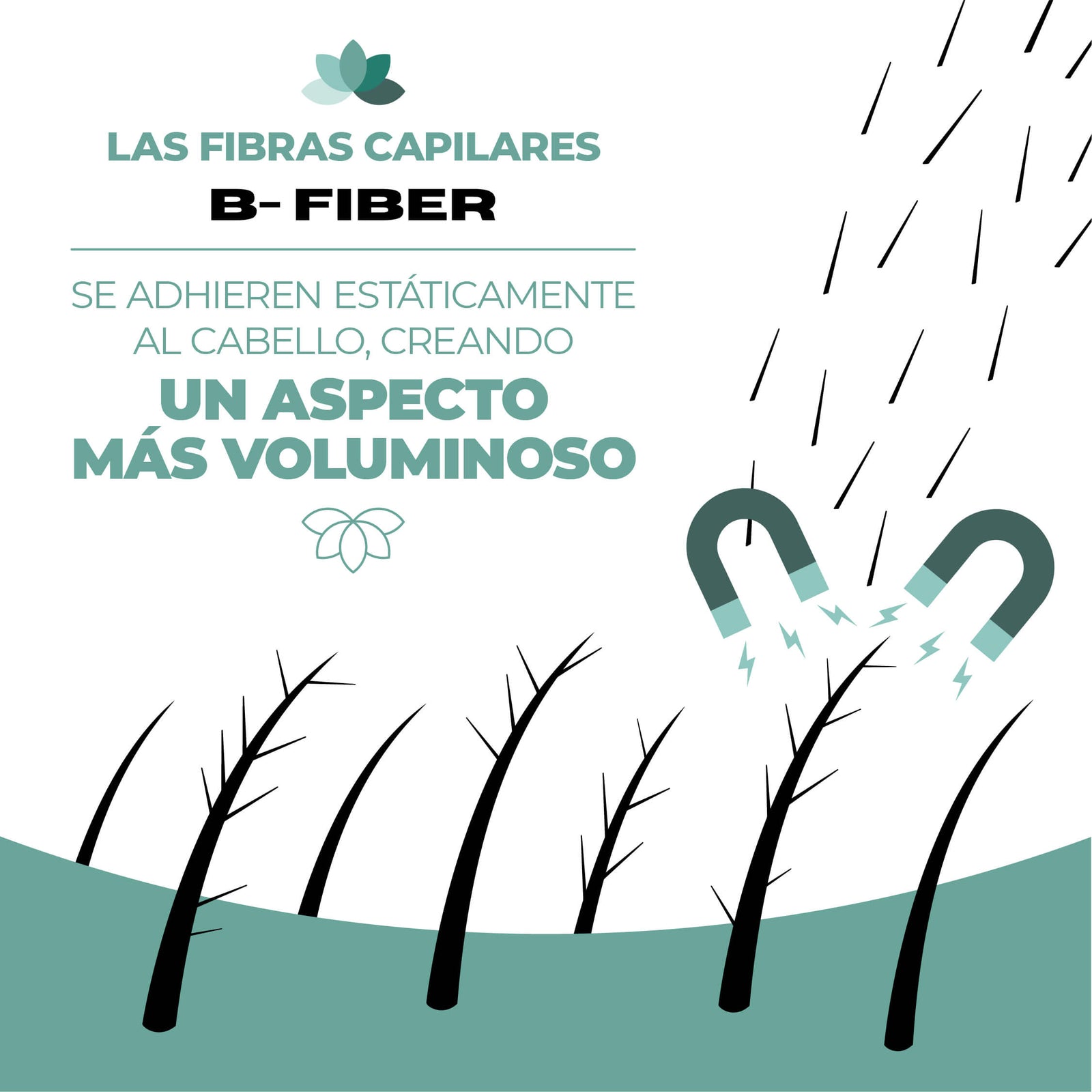 BFiber- Fibras capilares de queratina vegetal – BFIBER